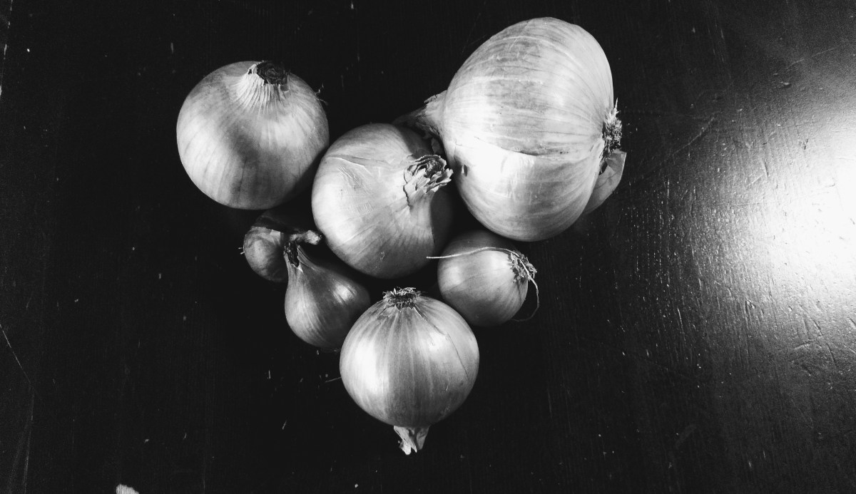 Donnerstag 3.November 2022 – Gartenberg